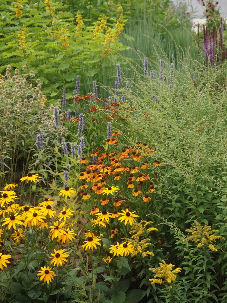 A ‘Garden for Life’ – Oakville Horticultural Society